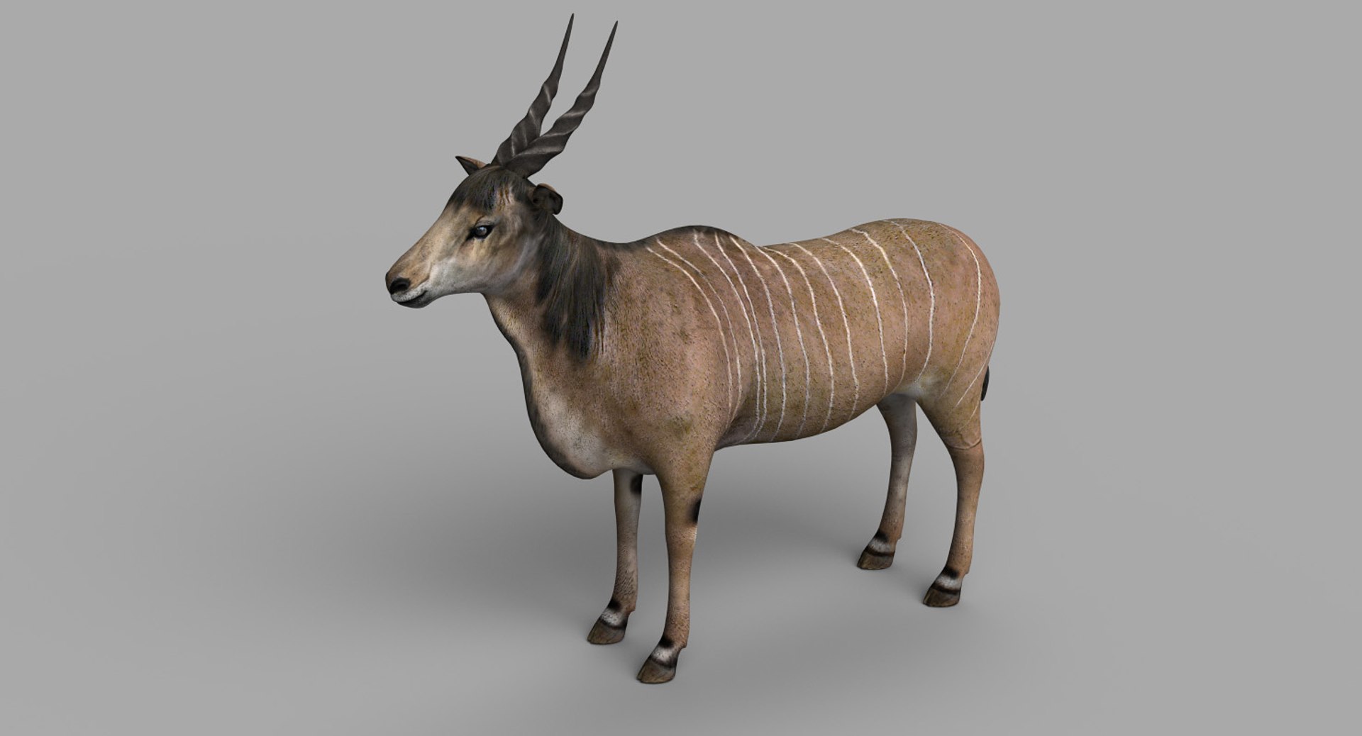 Common Eland Model - TurboSquid 1387968