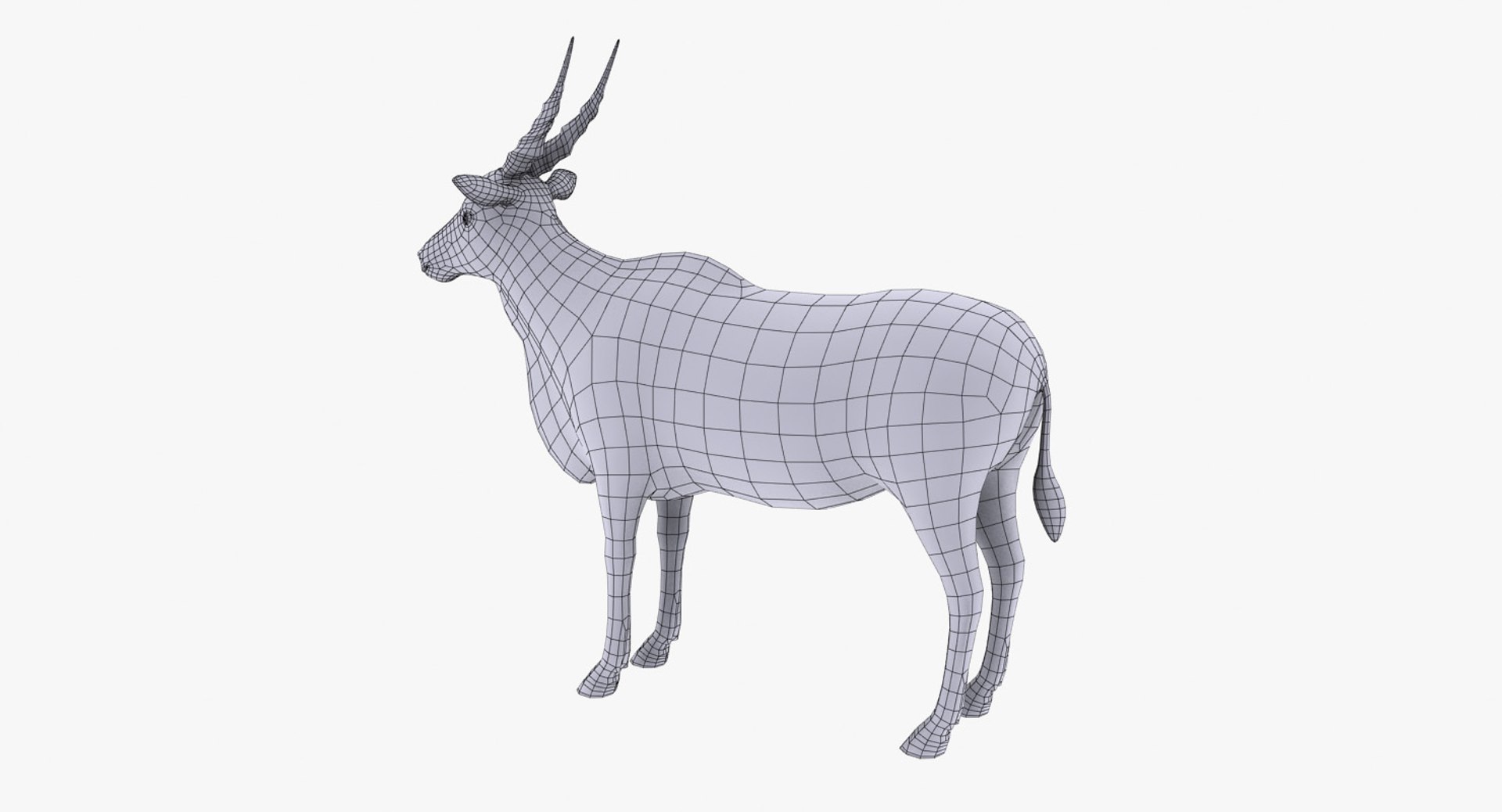 Common Eland Model - TurboSquid 1387968