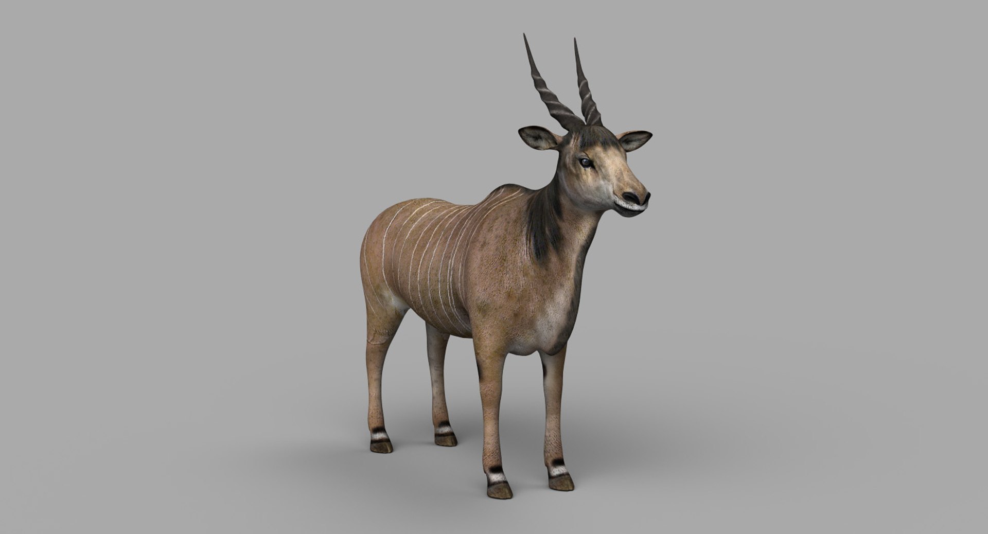 Common Eland Model - TurboSquid 1387968