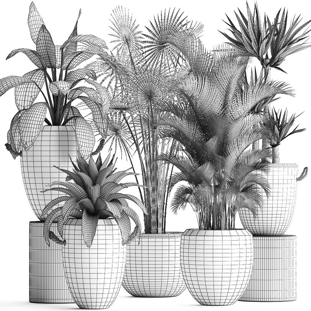 Ornamental Plants Model - TurboSquid 1464363