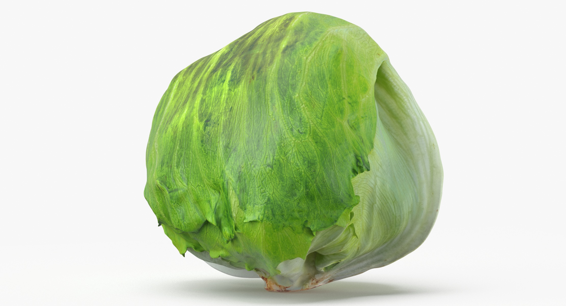 Lettuce 01 3D Model - TurboSquid 1838796