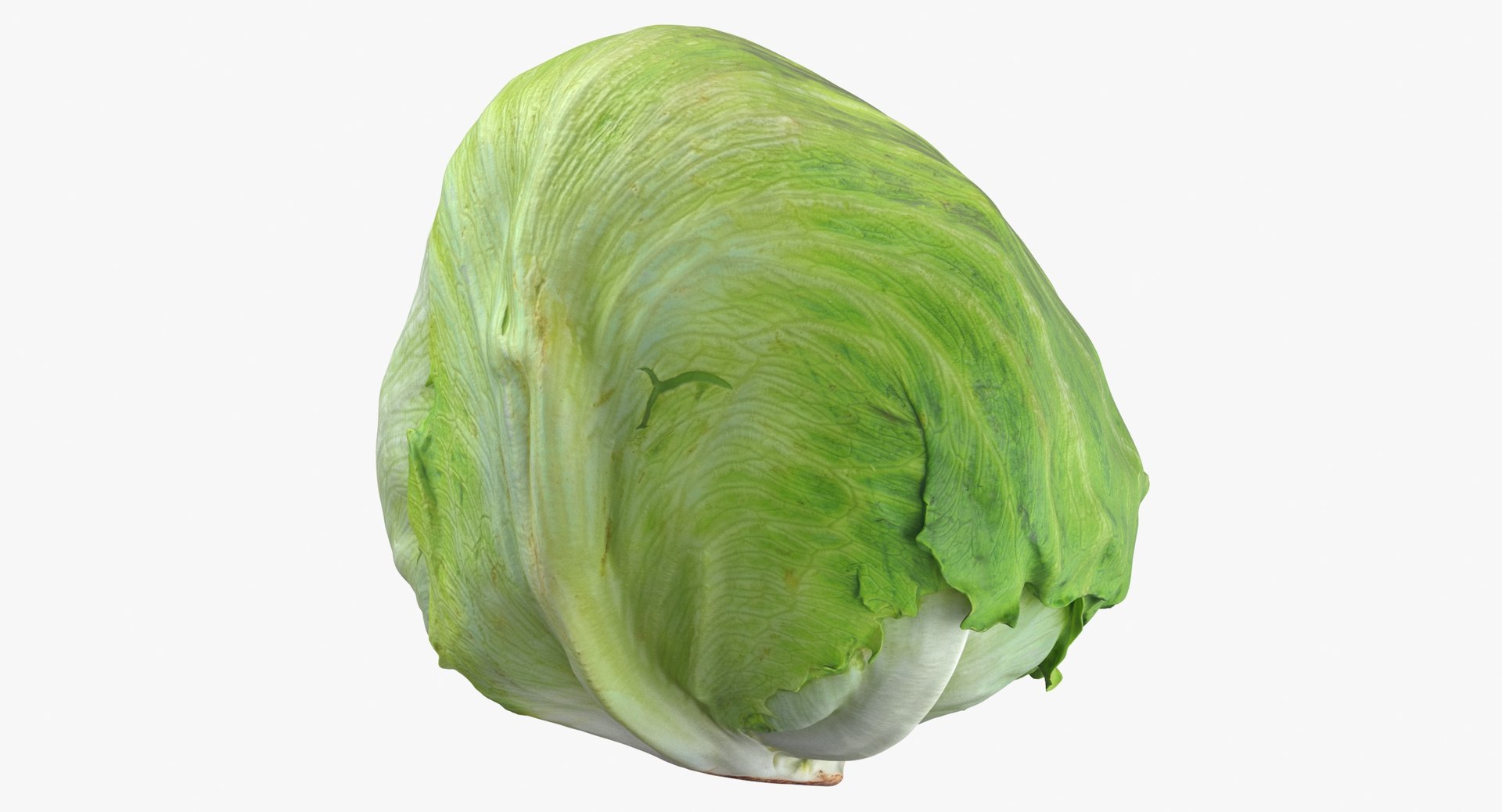 Lettuce 01 3D Model - TurboSquid 1838796