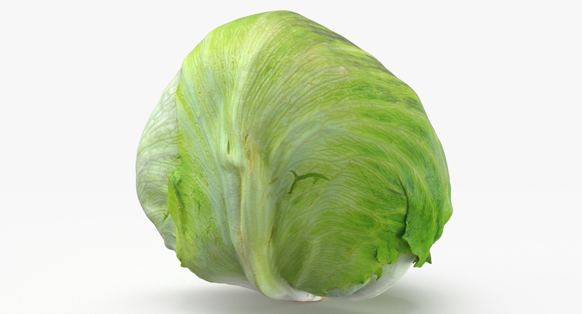 Lettuce 01 3D Model - TurboSquid 1838796
