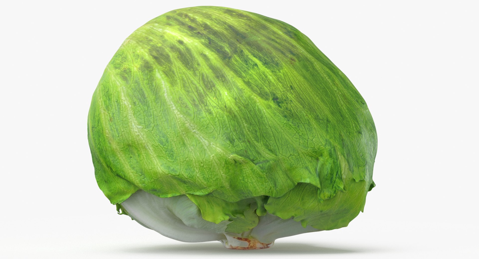 Lettuce 01 3D Model - TurboSquid 1838796