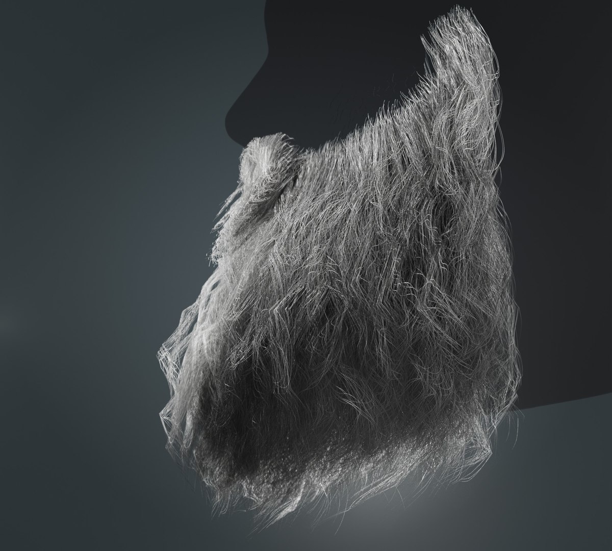 3D Beard RealTime 21 Version 1 model - TurboSquid 1892400