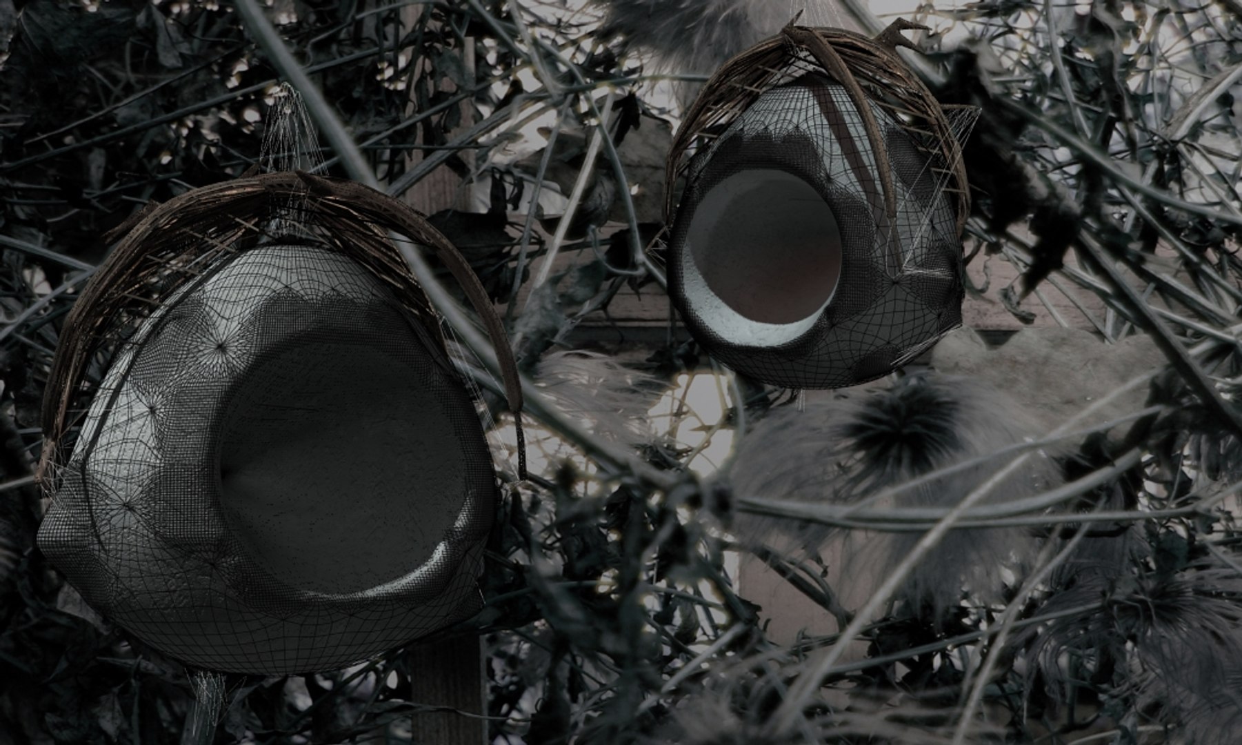 Strange - Nest Max