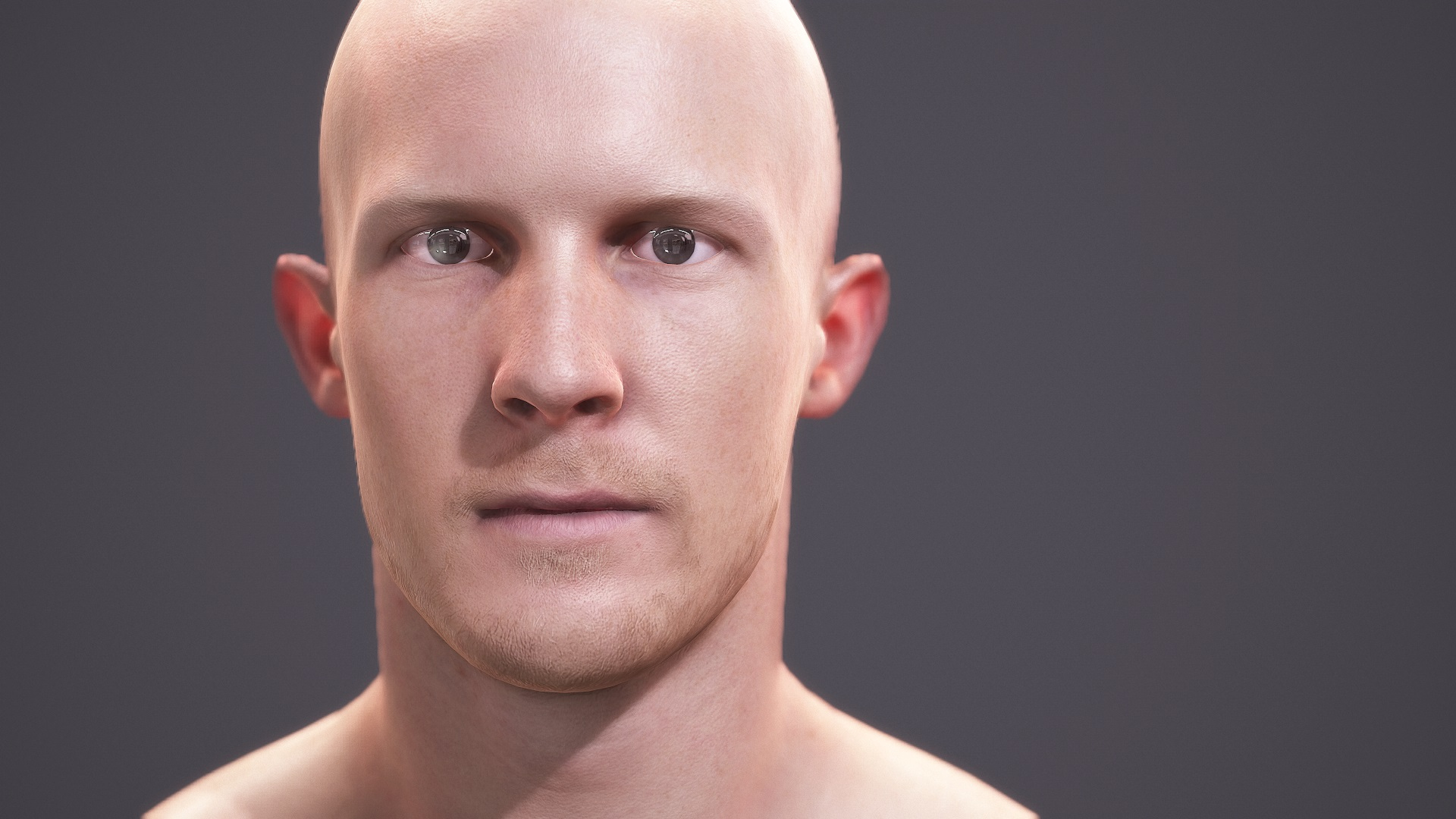 Male Female Human Heads 3d Model