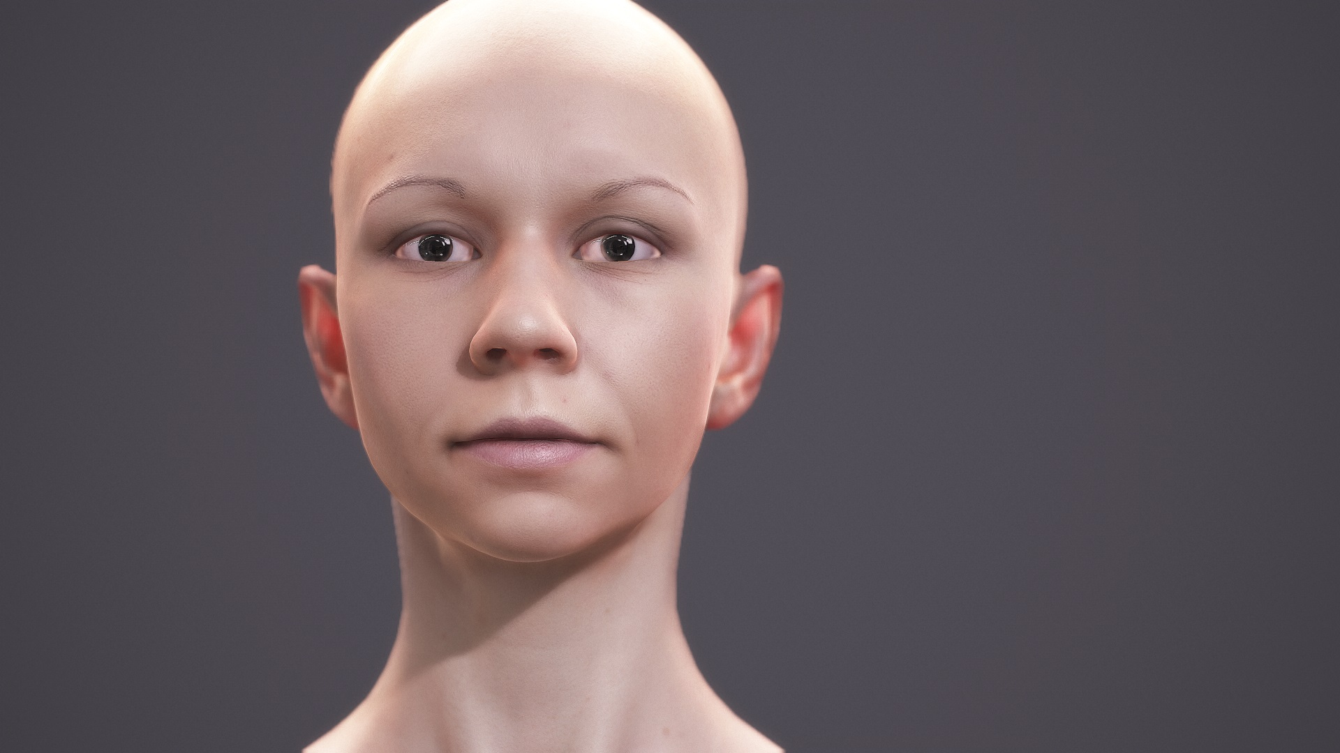 Male Female Human Heads 3d Model