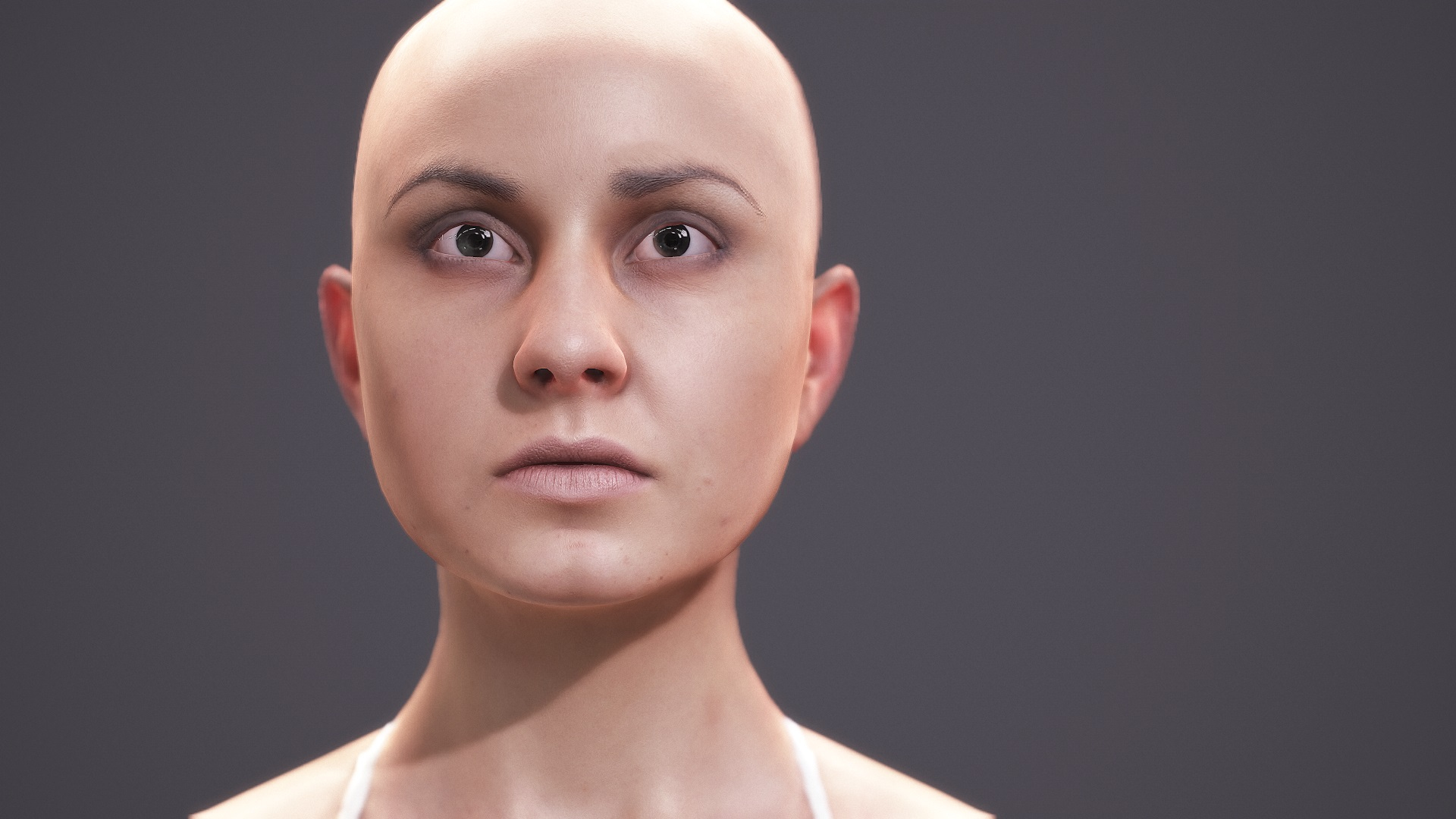 Male Female Human Heads 3d Model