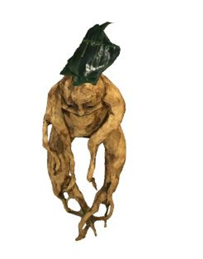 3D Mandragora Model - TurboSquid 1363005
