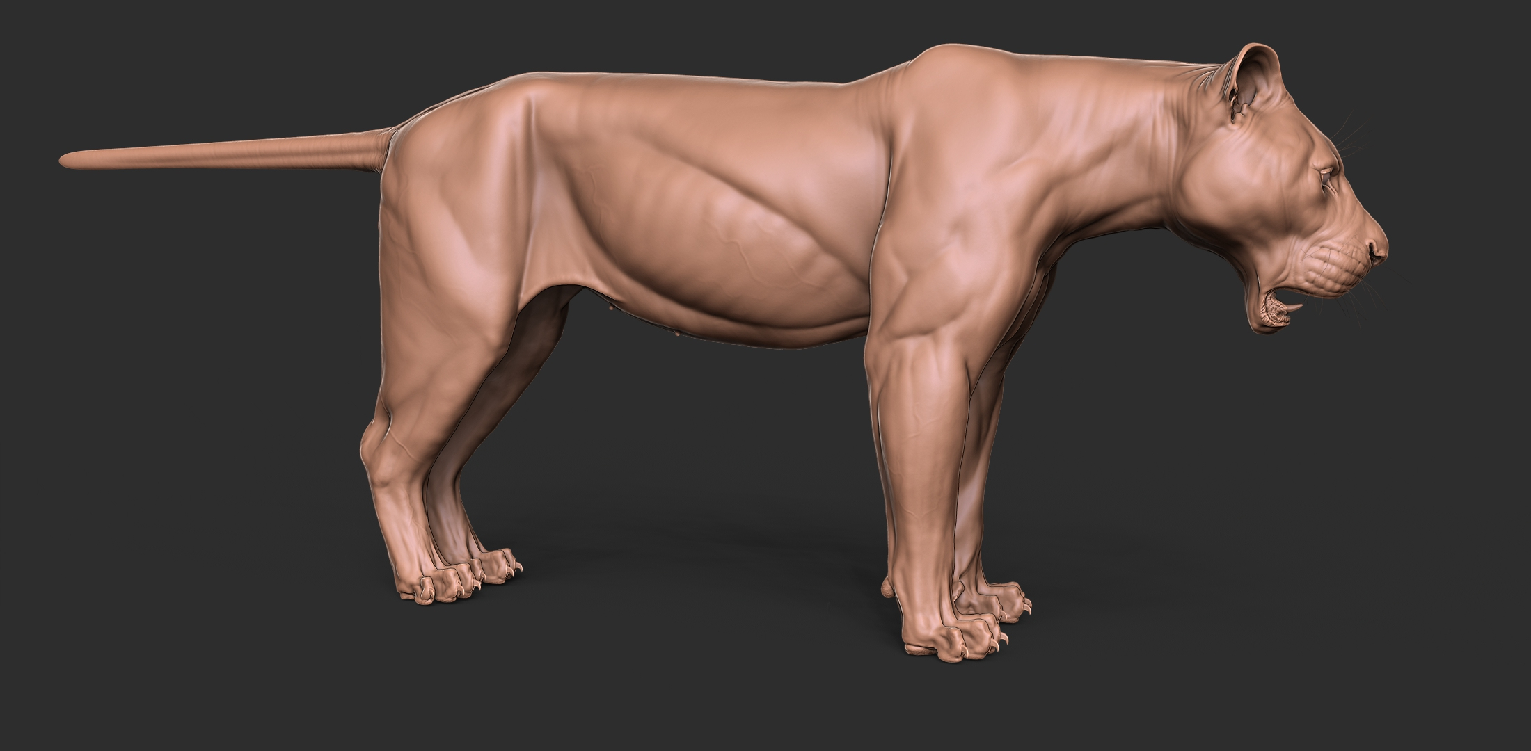 3D Detailed African Lion Zbrush Sculpt - TurboSquid 1871059