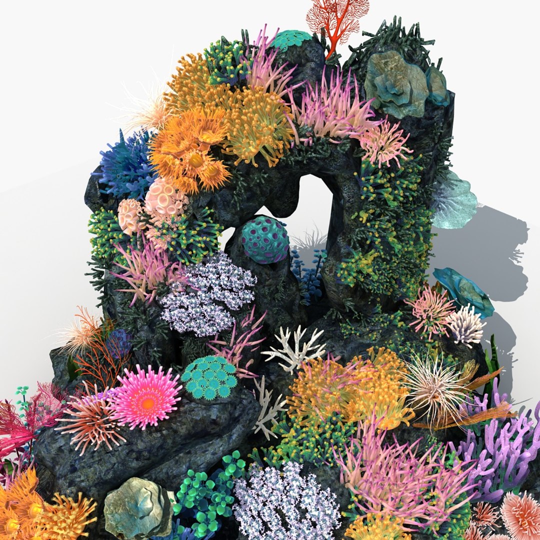 Coral 3D model - TurboSquid 1463211