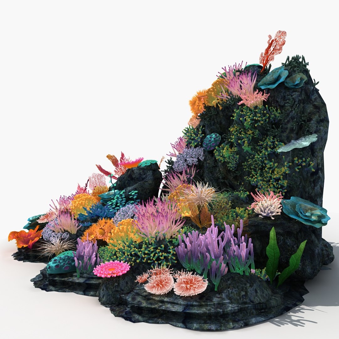 Coral 3D model - TurboSquid 1463211