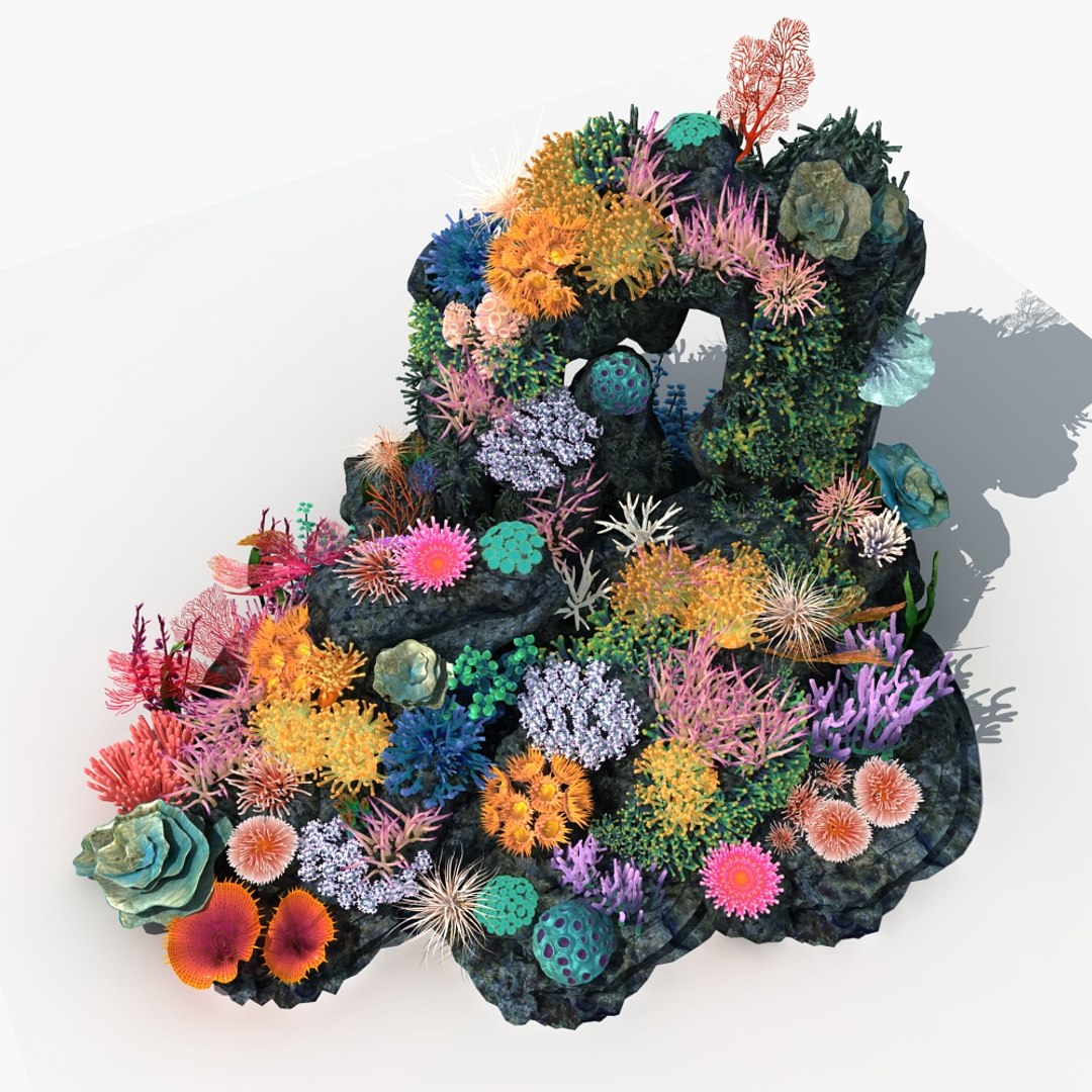 Coral 3D model - TurboSquid 1463211