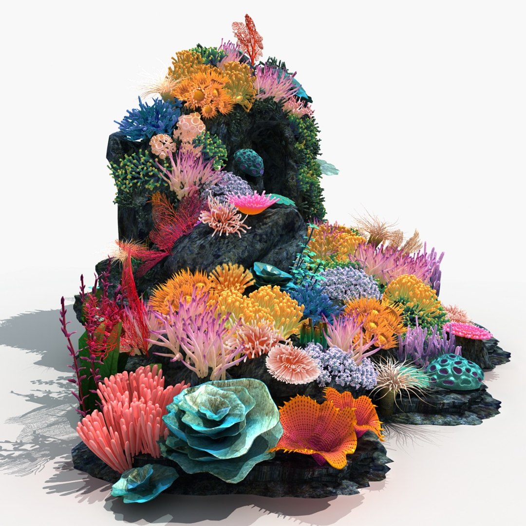 Coral 3D model - TurboSquid 1463211