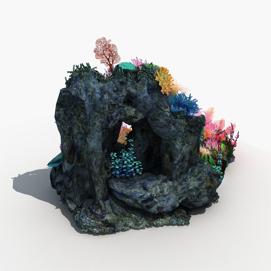 Coral 3D model - TurboSquid 1463211
