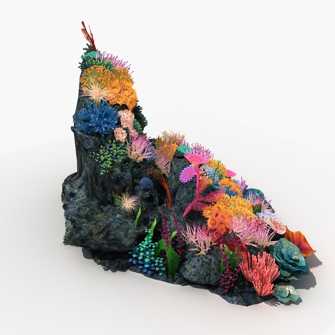 Coral 3D model - TurboSquid 1463211