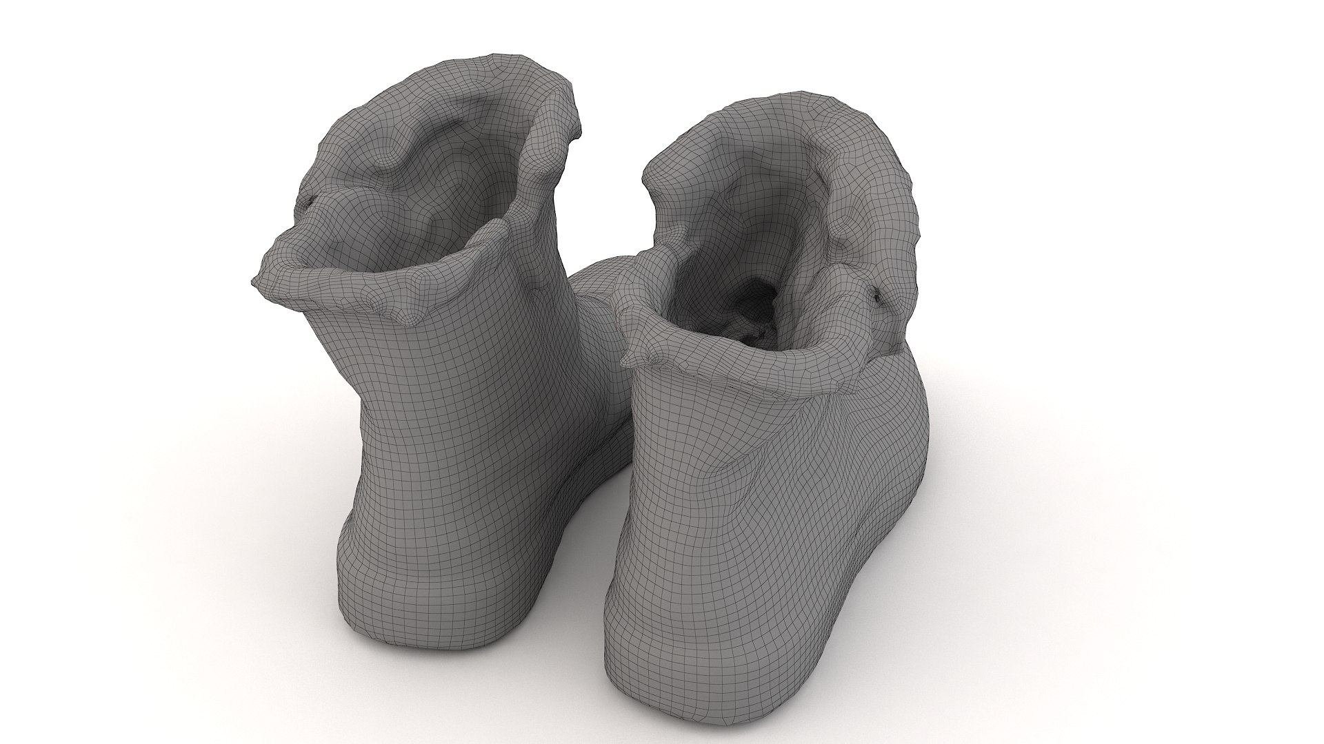 Scan shoes boots 3D model - TurboSquid 1484858