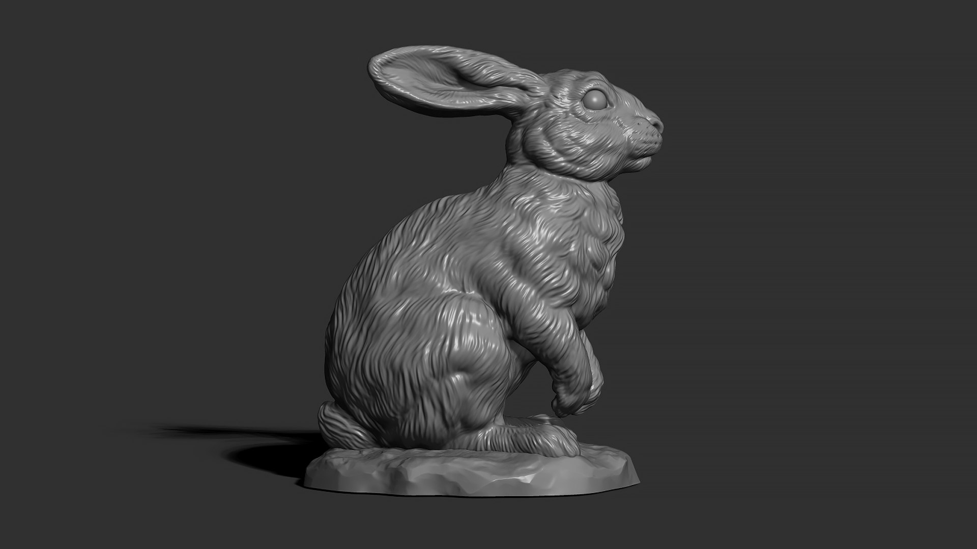 Rabbit sitting 3D model - TurboSquid 2010555