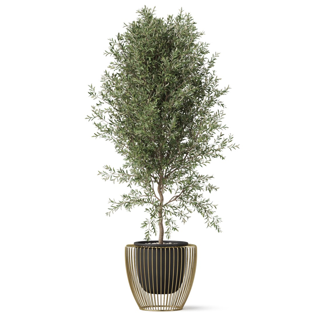 3D Plants Collection 856 - TurboSquid 1996106