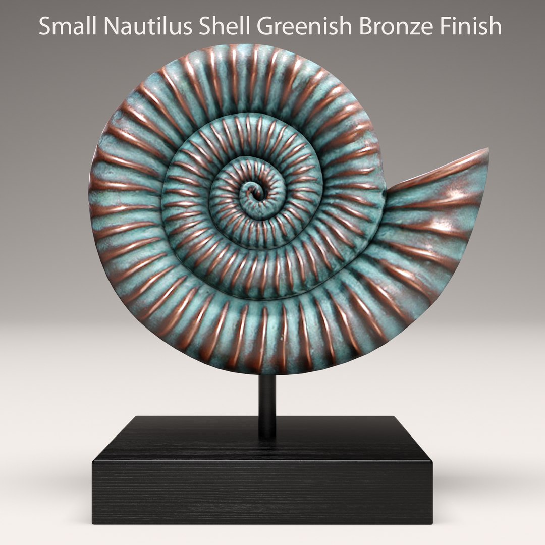 Nautical Shell 3d Model