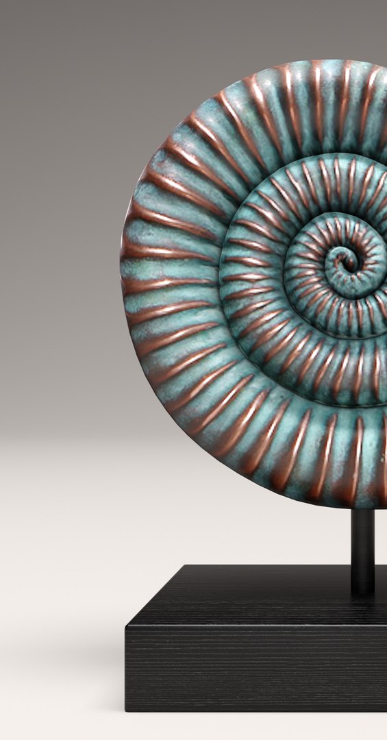 Nautical Shell 3d Model