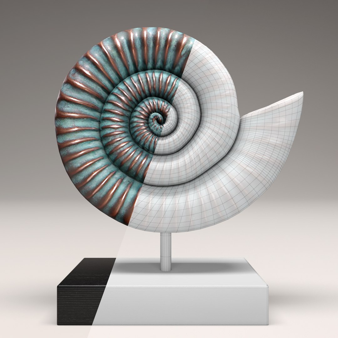 Nautical Shell 3d Model