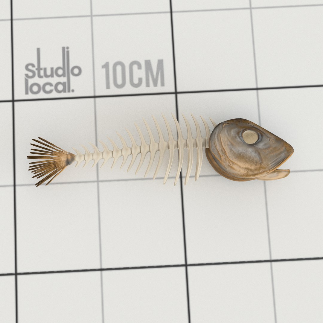 3D Fish Bones - TurboSquid 1207945