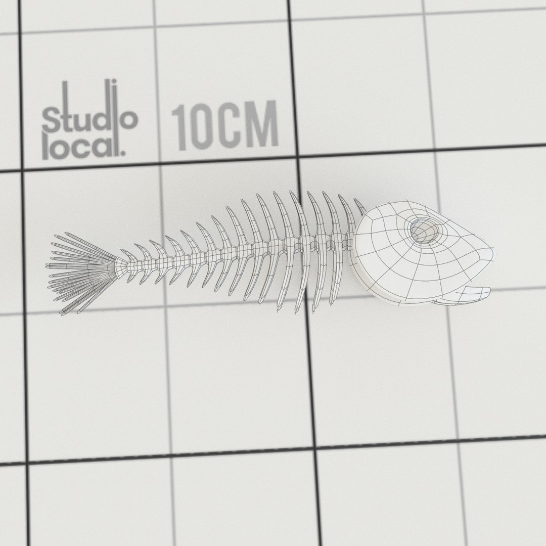 3D Fish Bones - TurboSquid 1207945