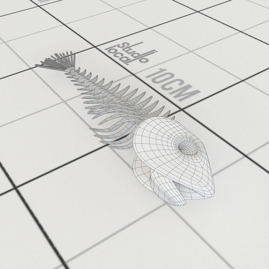 3D Fish Bones - TurboSquid 1207945