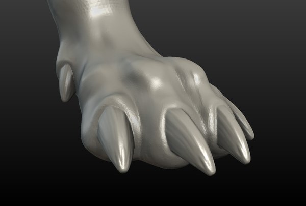modelo 3d Pata de lobo - TurboSquid 1236425