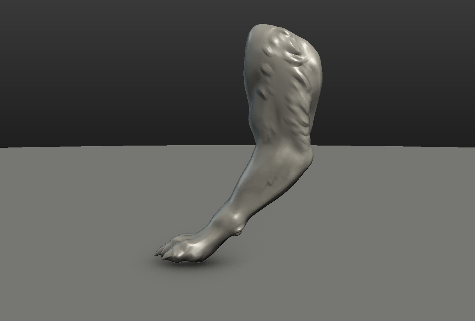 3D Wolf Paw - TurboSquid 1236425