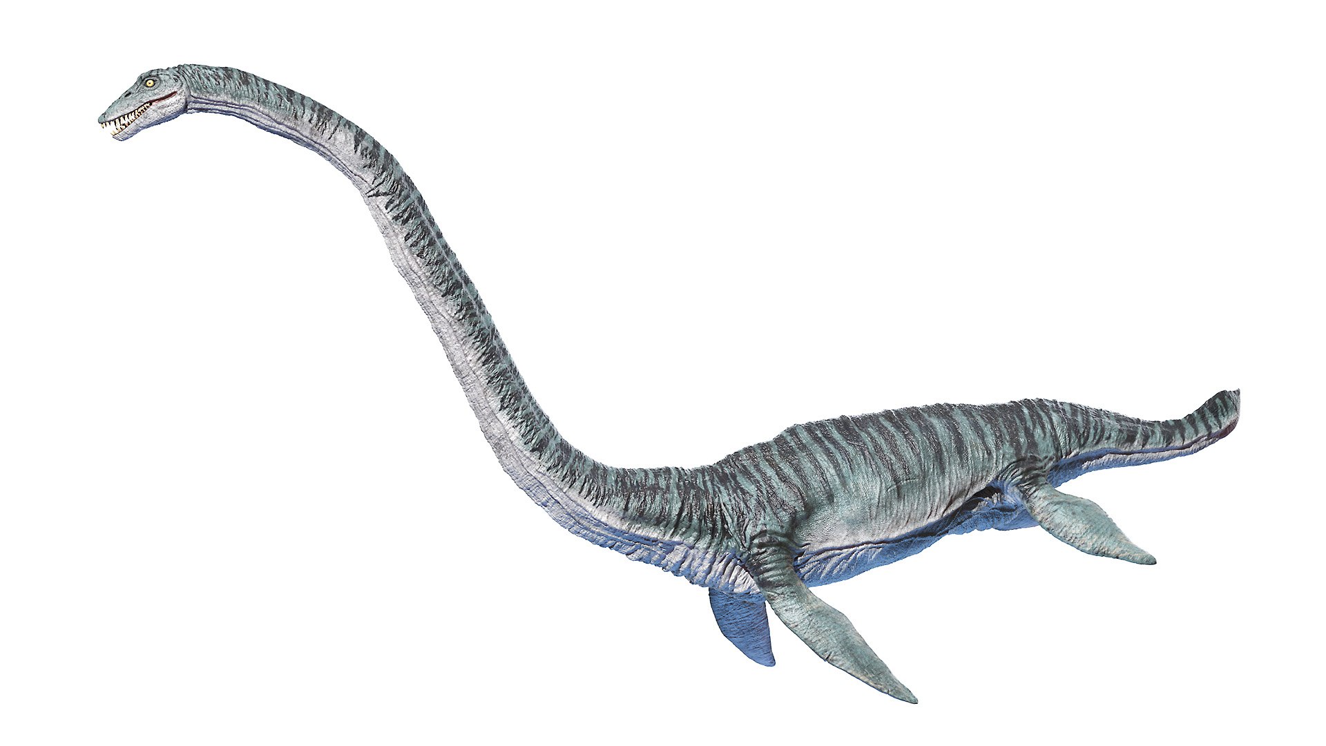 Elasmosaurus Jurassic Park