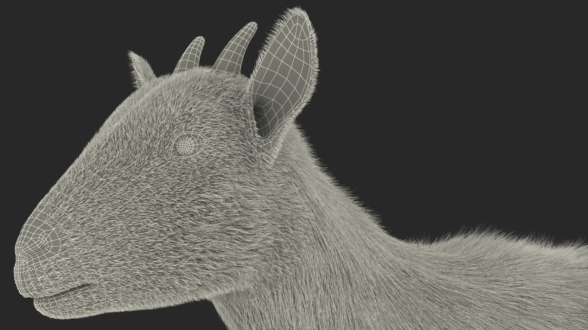 Goat Saanen Breed Fur 3D - TurboSquid 1992588