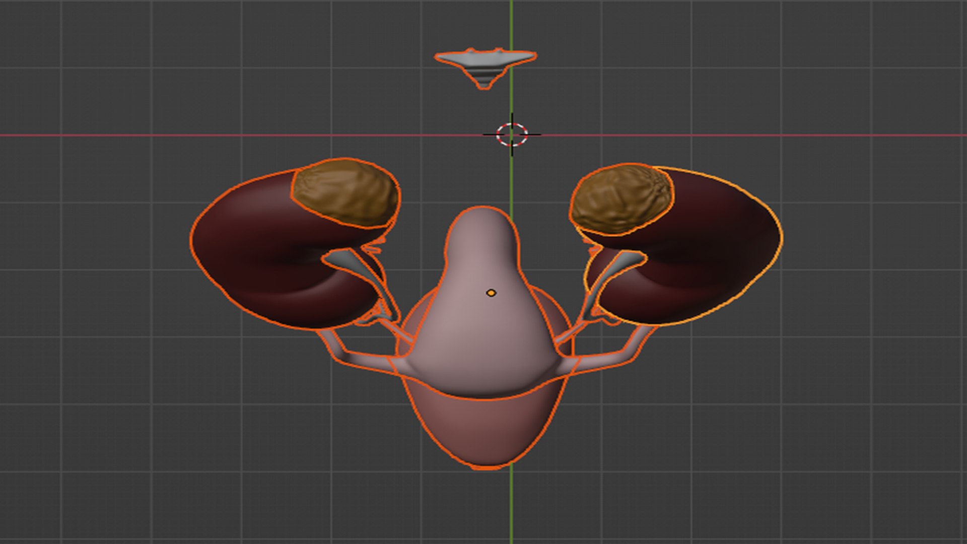 3D Model Of Female Reproductive And Urinary System 3D Model ...