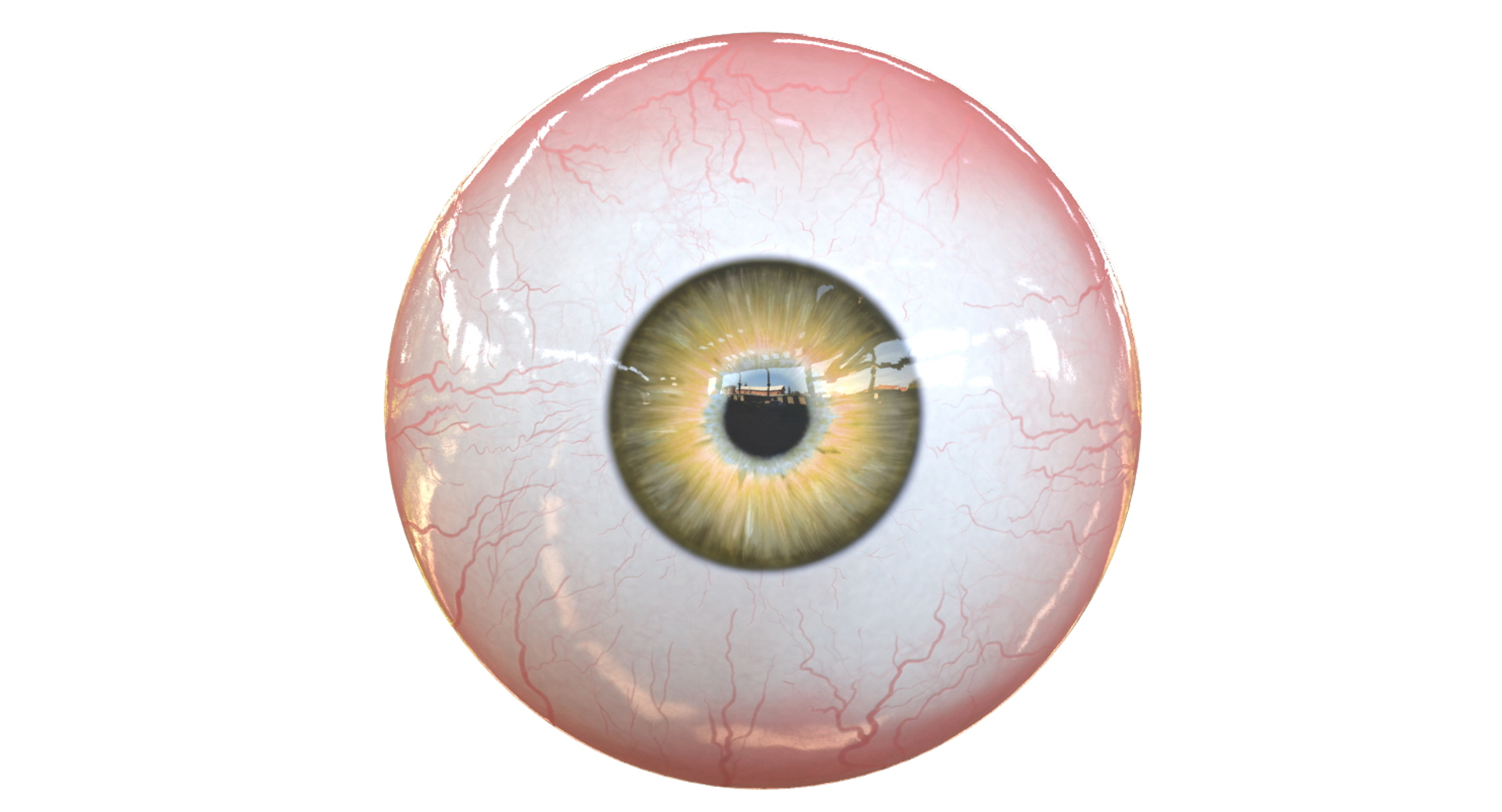 3D Real Eye Yellow - TurboSquid 1398979
