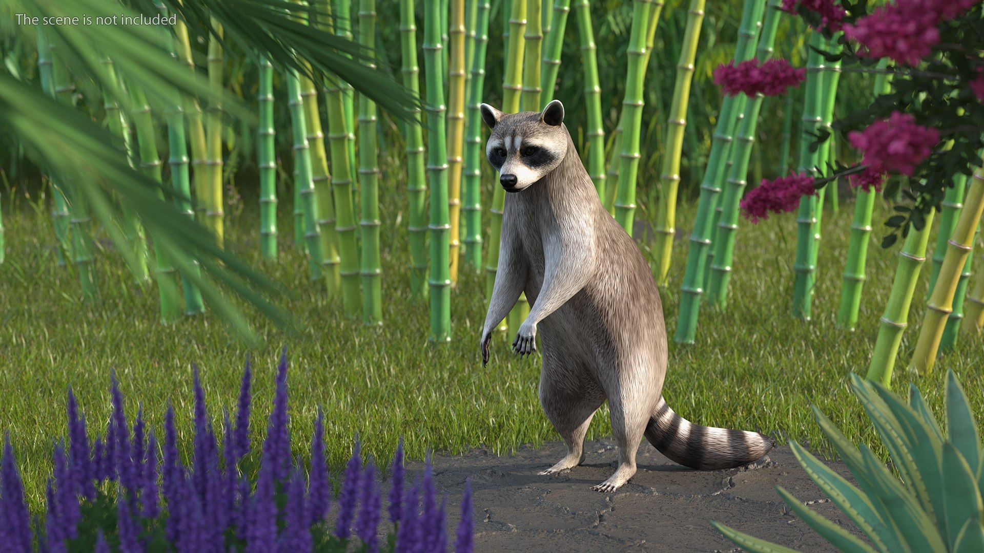Raccoon Standing Pose 3D - TurboSquid 1872769