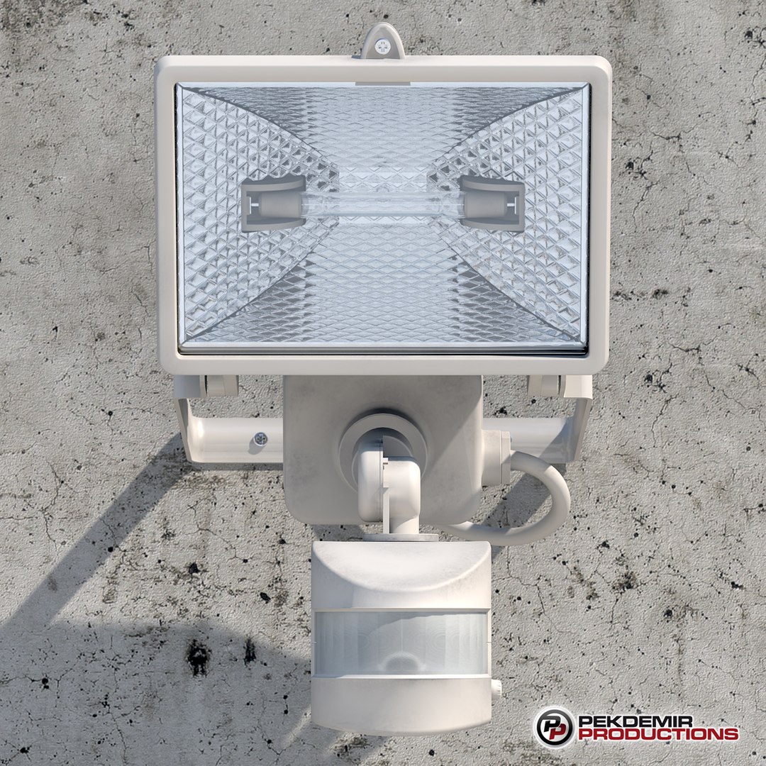 Motion Sensor Light Max