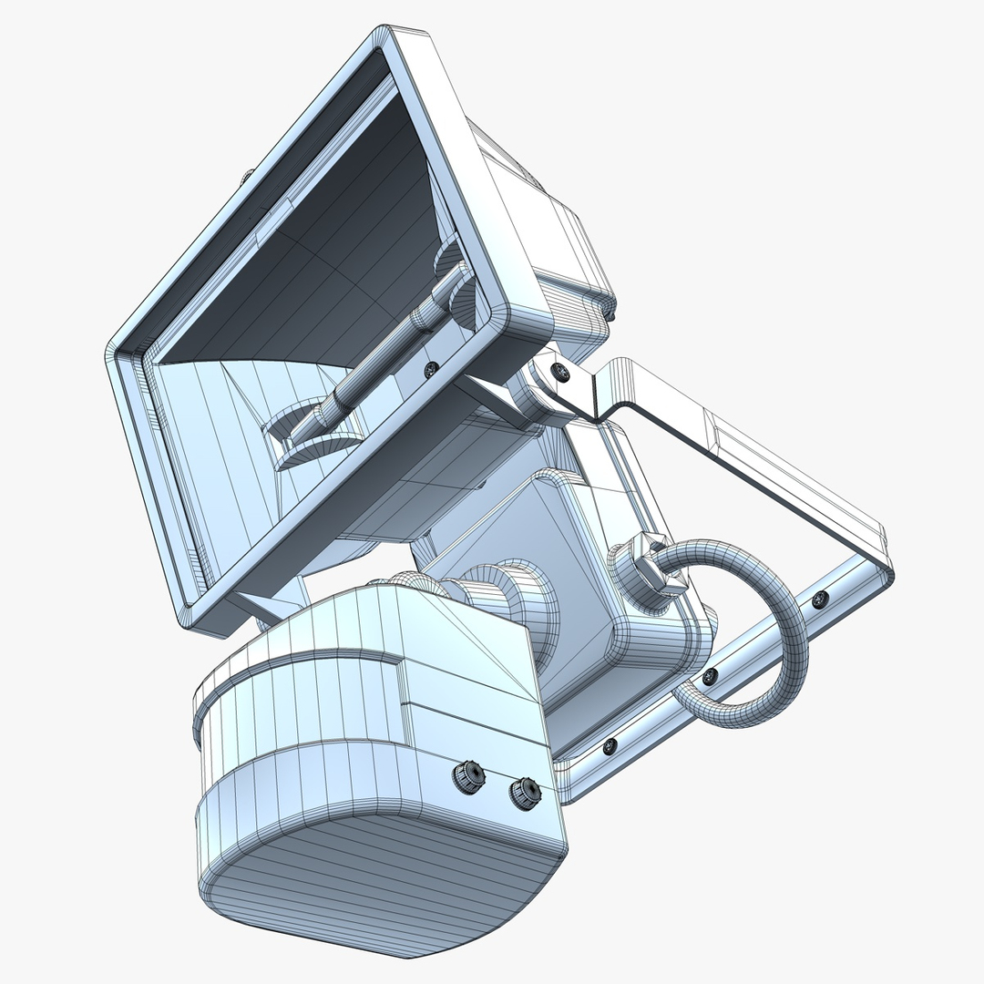 motion sensor light max