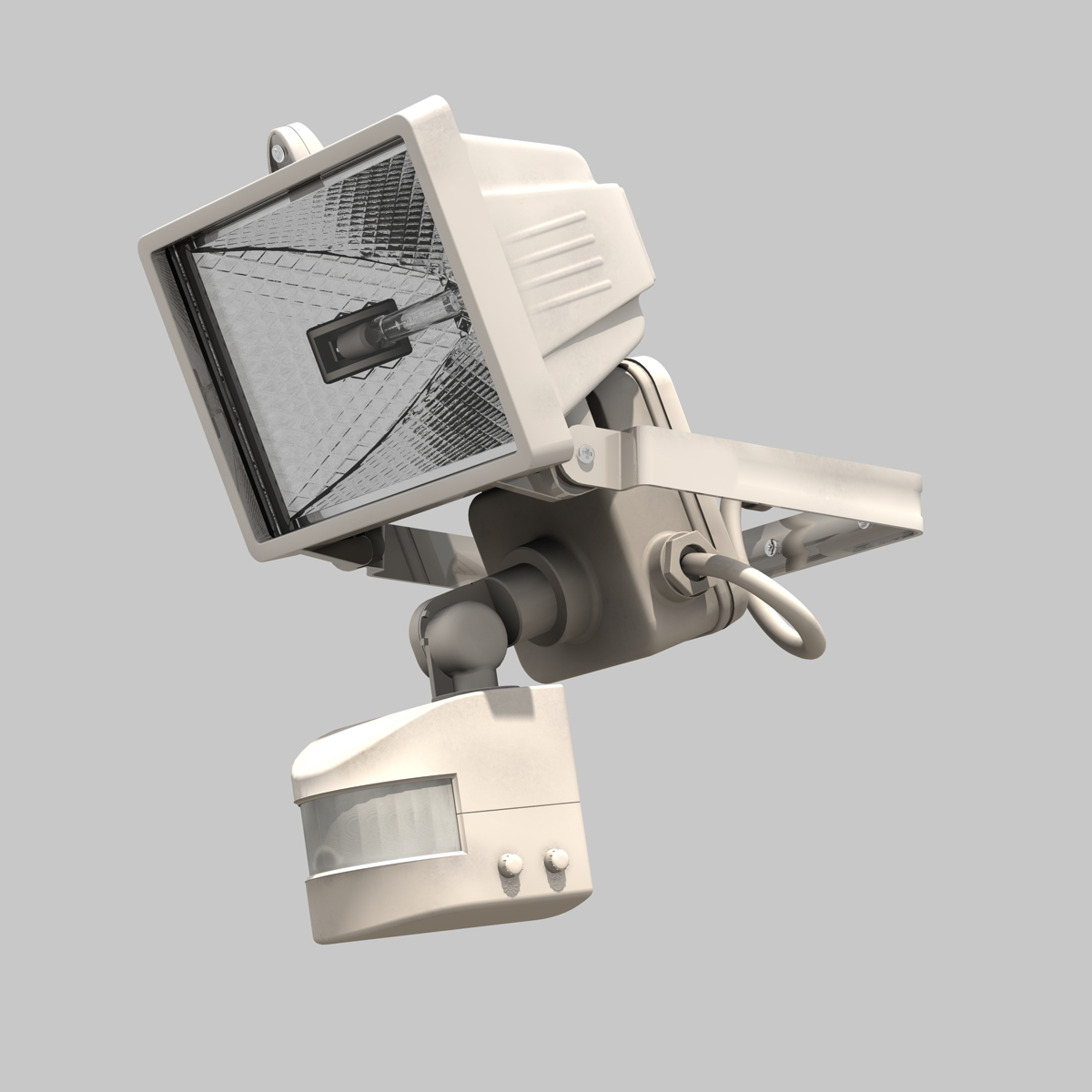 motion sensor light max