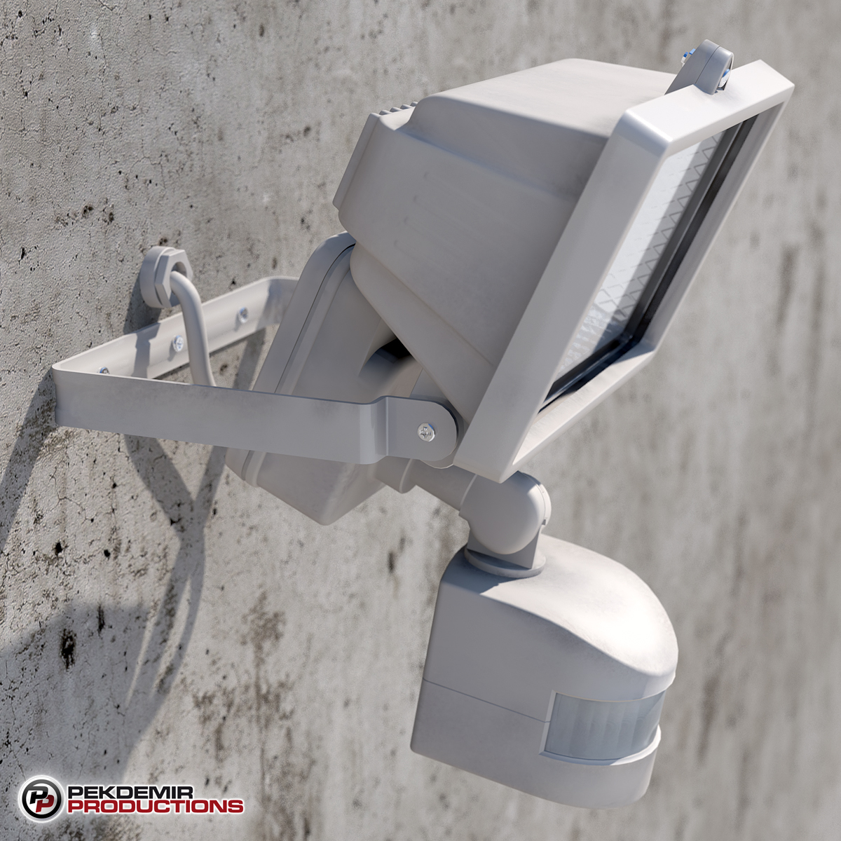 motion sensor light max