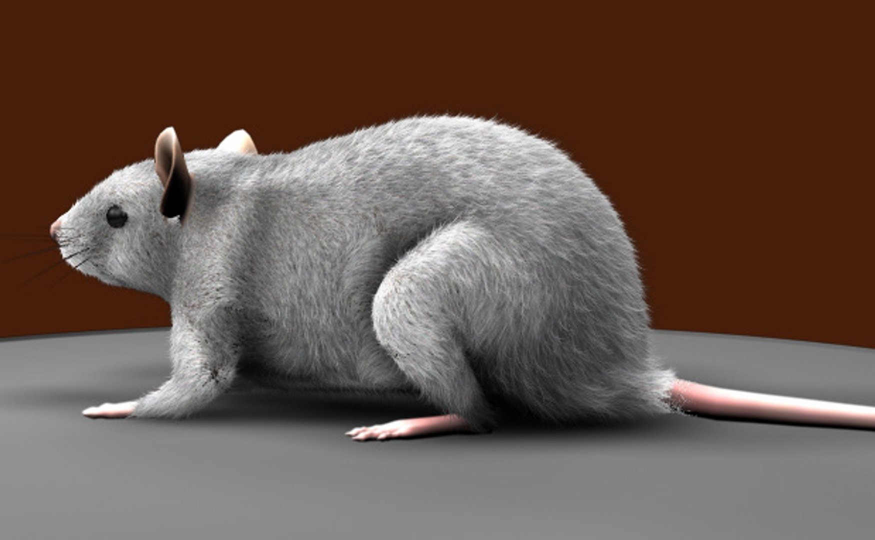 3ds Max Realistic Rat Fur