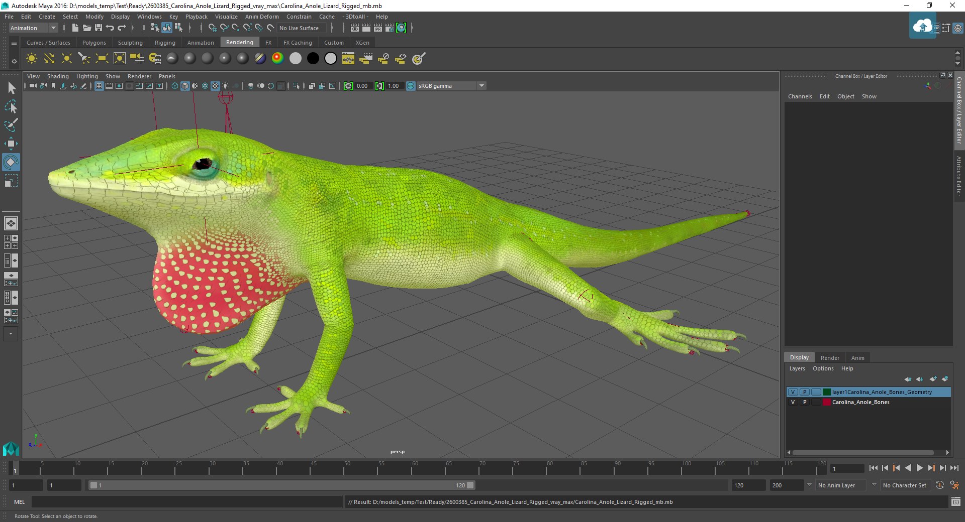 Carolina Anole Lizard Rigged 3D Model - TurboSquid 1493416