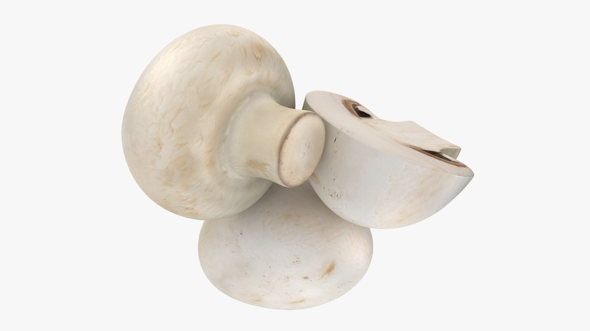 Button Mushroom Champignon 3D Model - TurboSquid 1184128