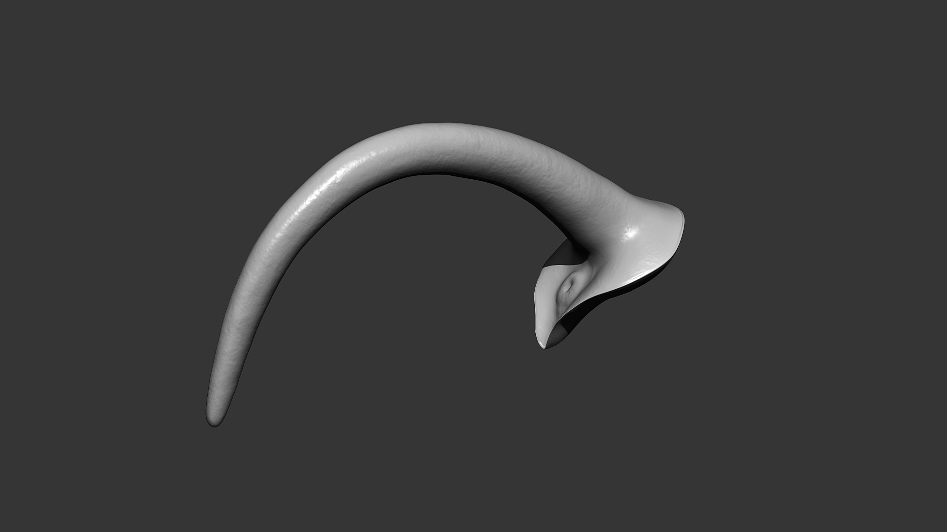 3D Model Horse Tail Highpoly Sculpt - TurboSquid 1808037
