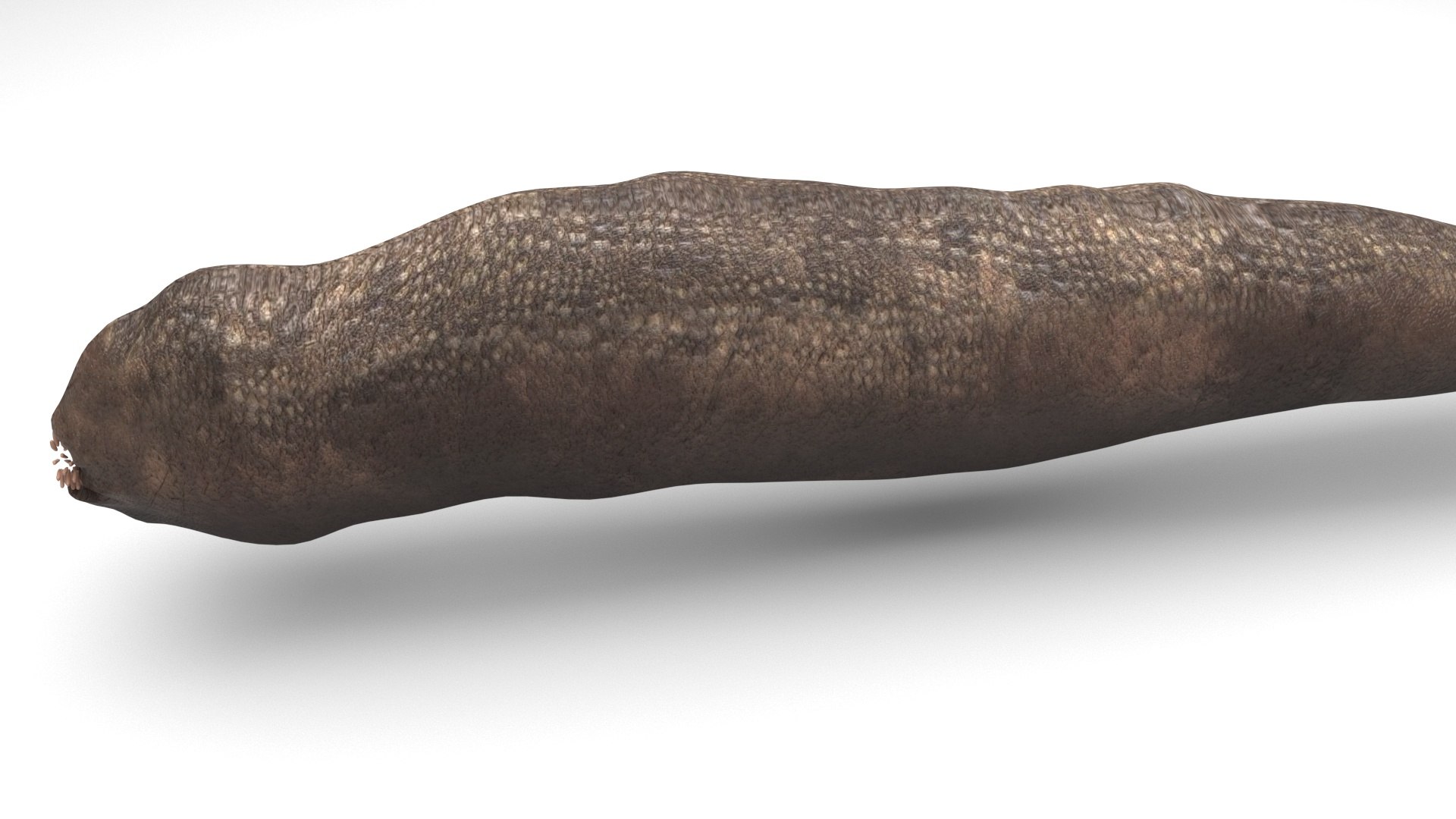 3D Monster Worm Model - TurboSquid 1844015