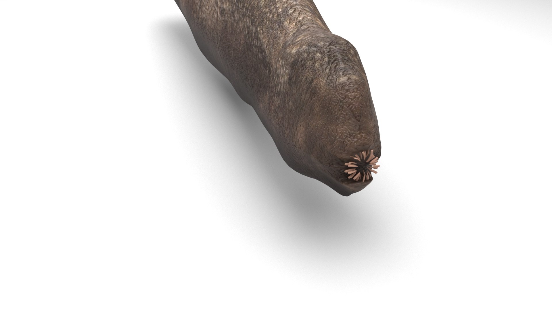 3D Monster Worm Model - TurboSquid 1844015