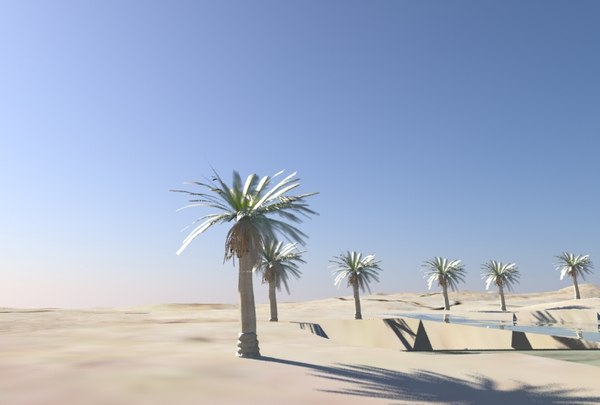 3d oasis model