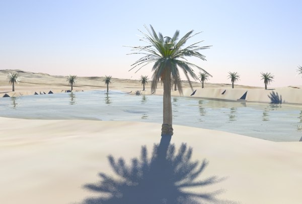 3d oasis model