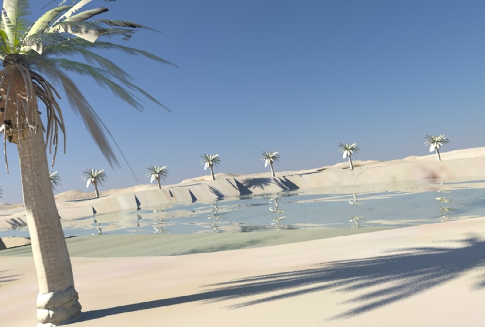 3d oasis model